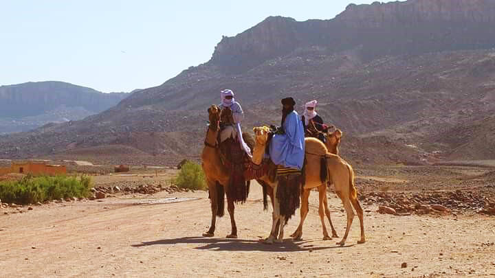 Accueil - Direction du Tourisme et de l'Artisanat Illizi